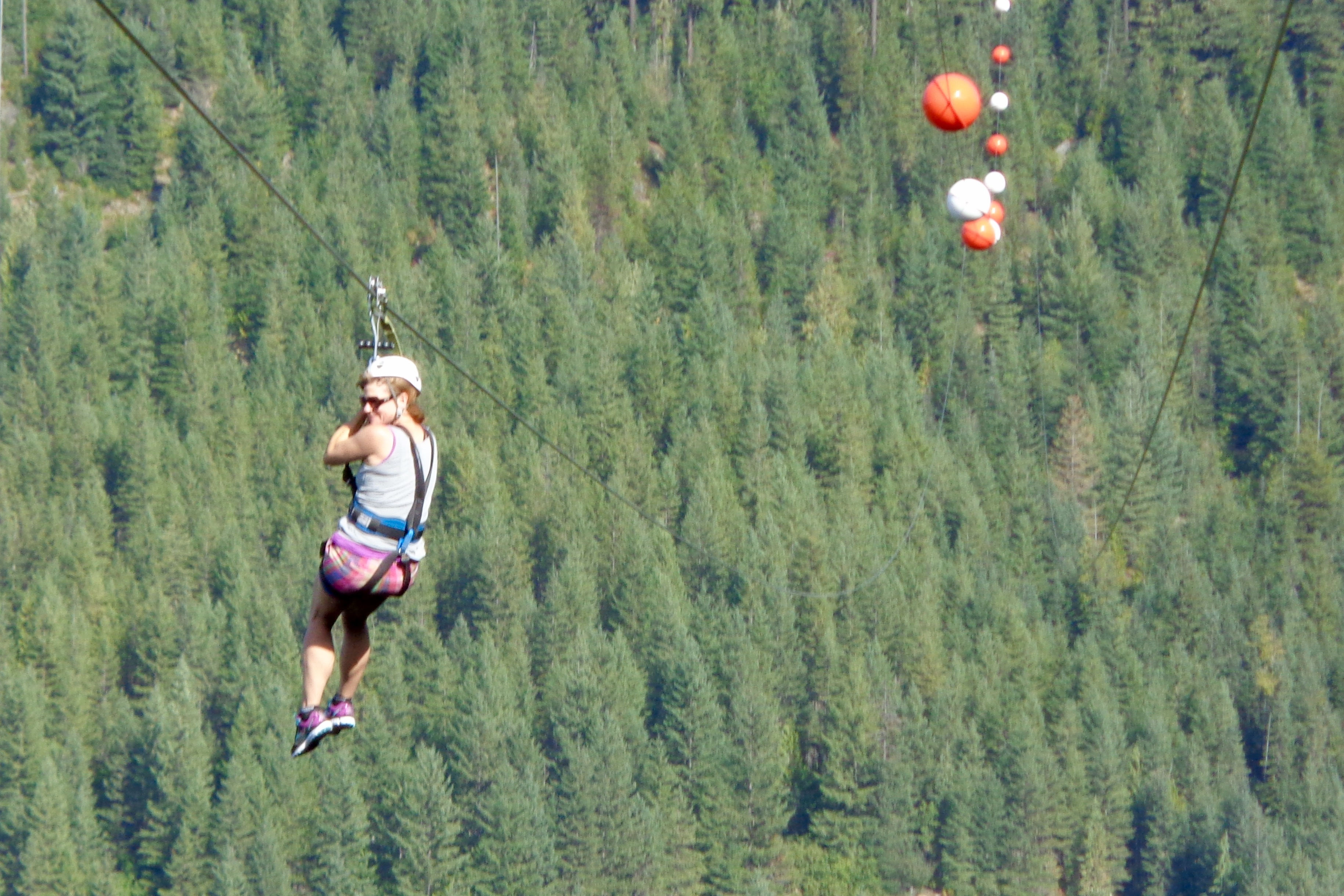 Zip n Zipping Along – Nick Ringma – Musings and More Blog