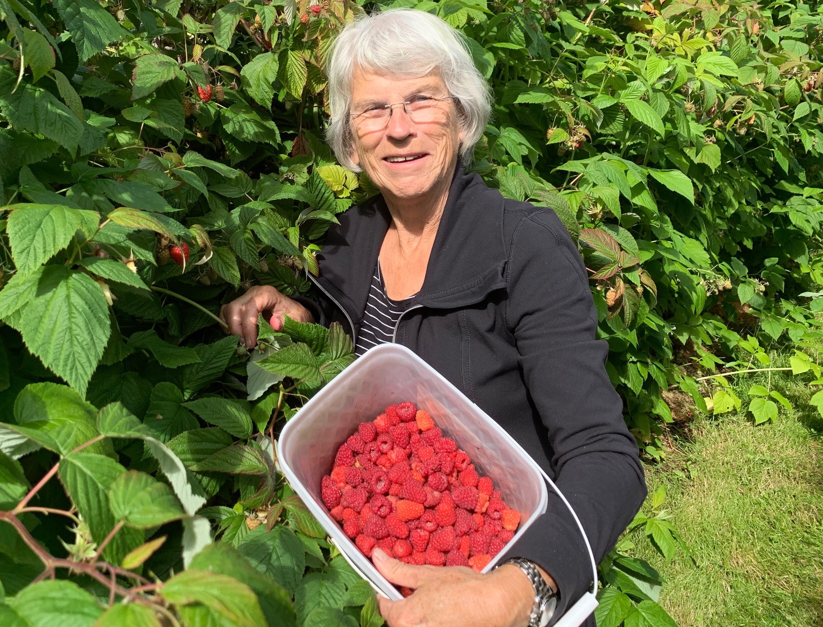 Gardener’s Delight – Nick Ringma – Musings and More Blog